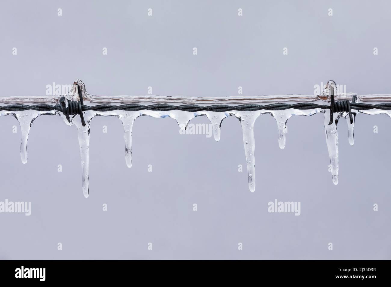 Barbed wire and ice photo hi-res stock photography and images - Alamy