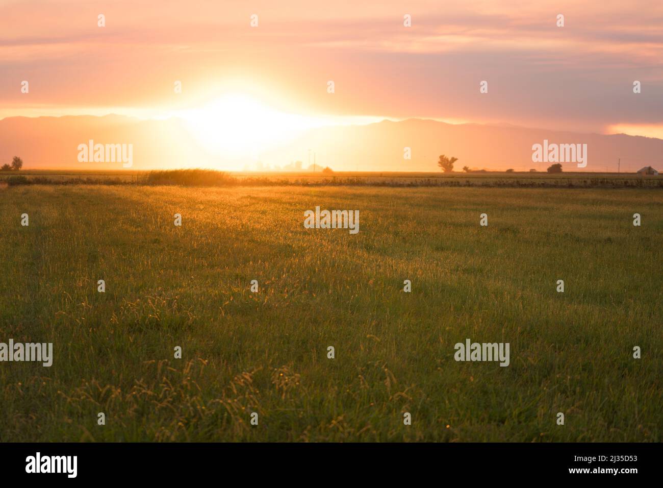 Sunset over a farm hi-res stock photography and images - Alamy