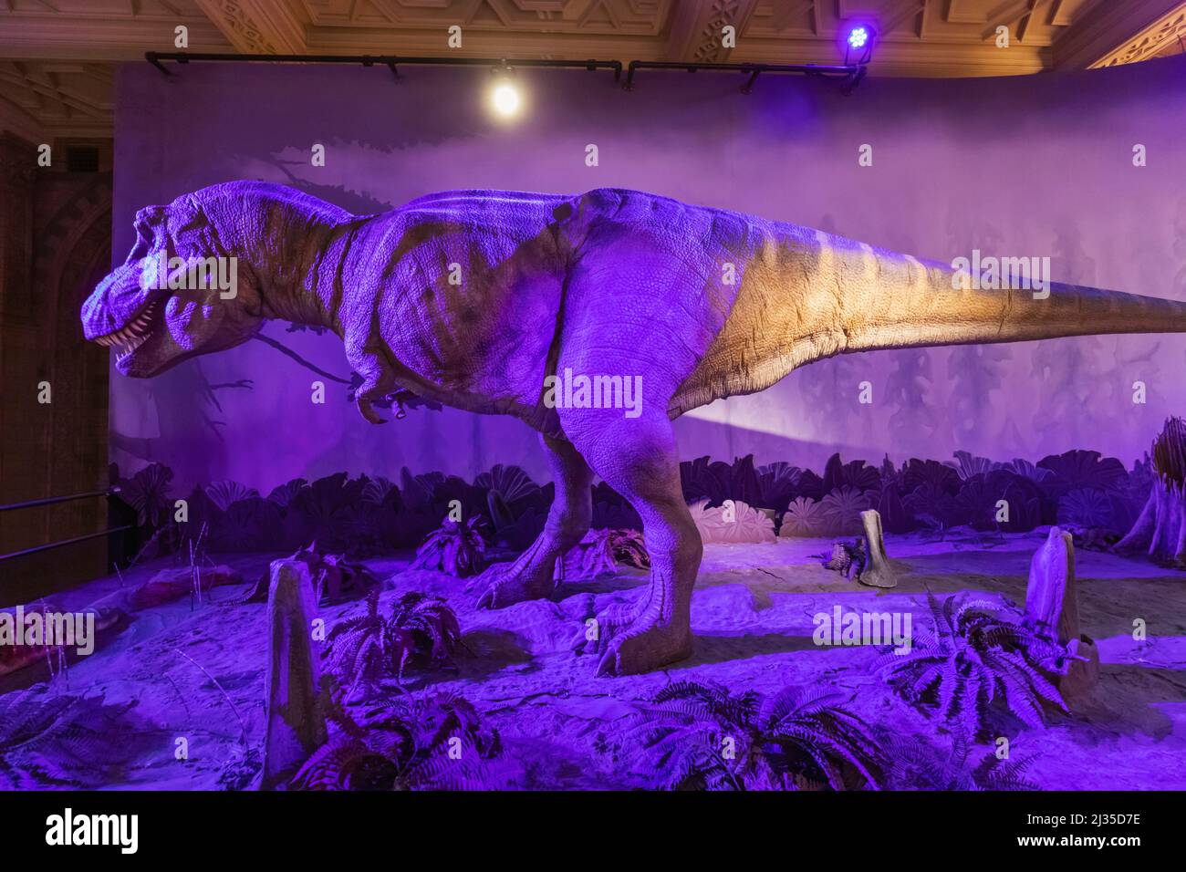 England, London, South Kensington, Natural History Museum, Animatonic ...