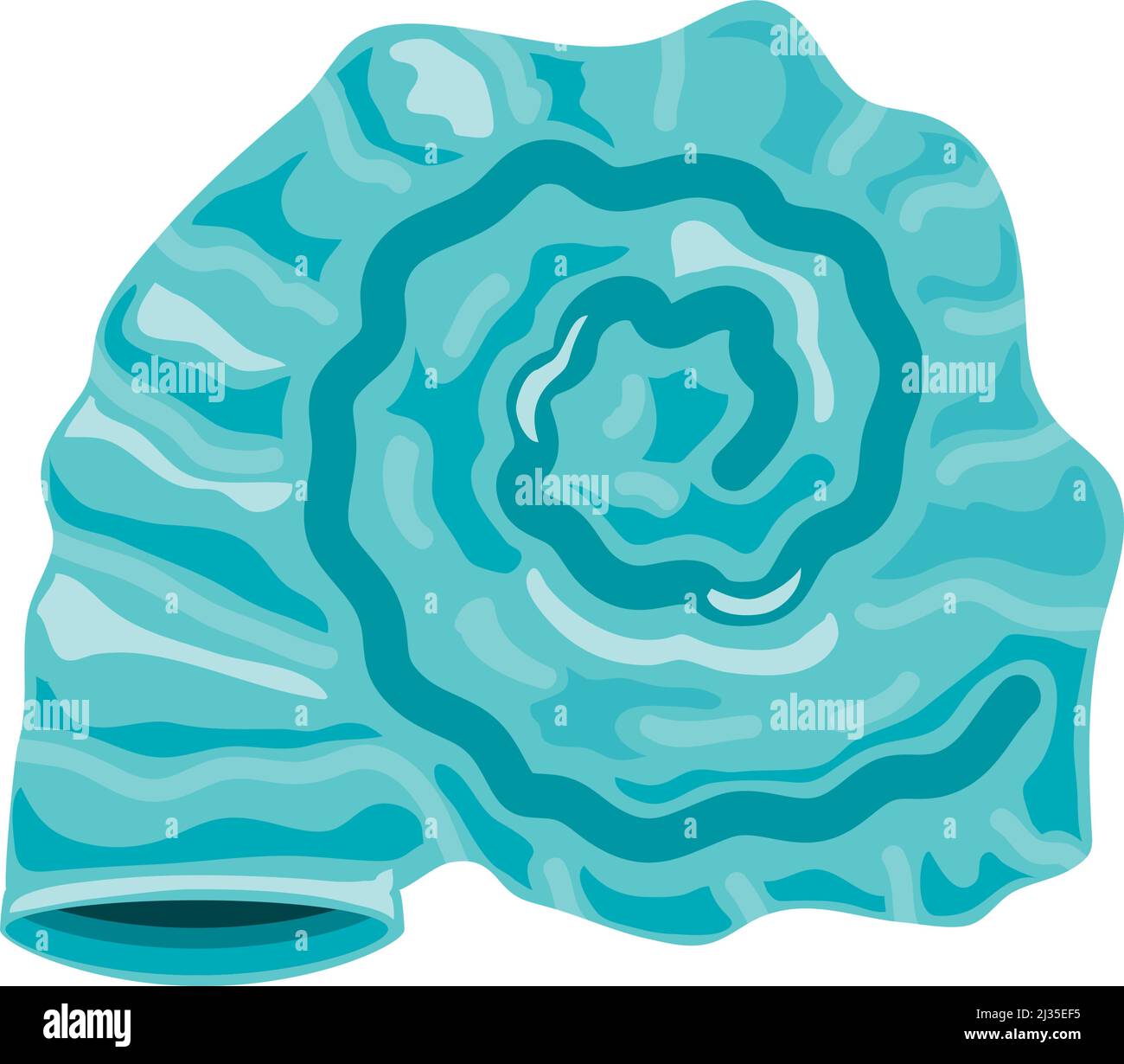 blue sea shell Stock Vector Image & Art - Alamy