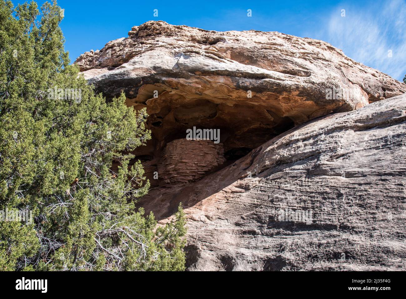 Ancient Puebloan granary hidden away in a remote alcove. Ancient ruins ...