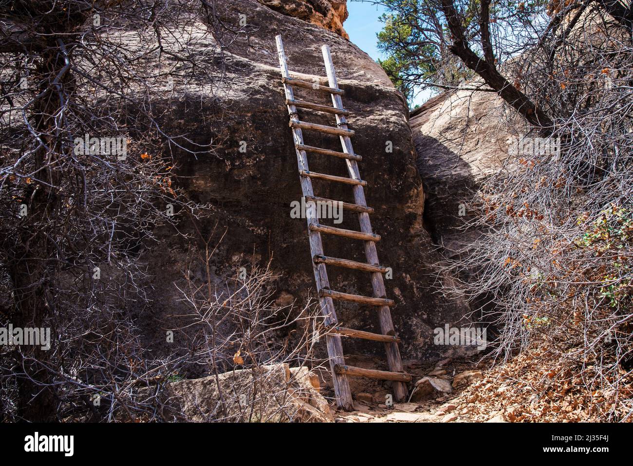 Old wooden ladder marks the trail along the Caves Springs Trail in ...