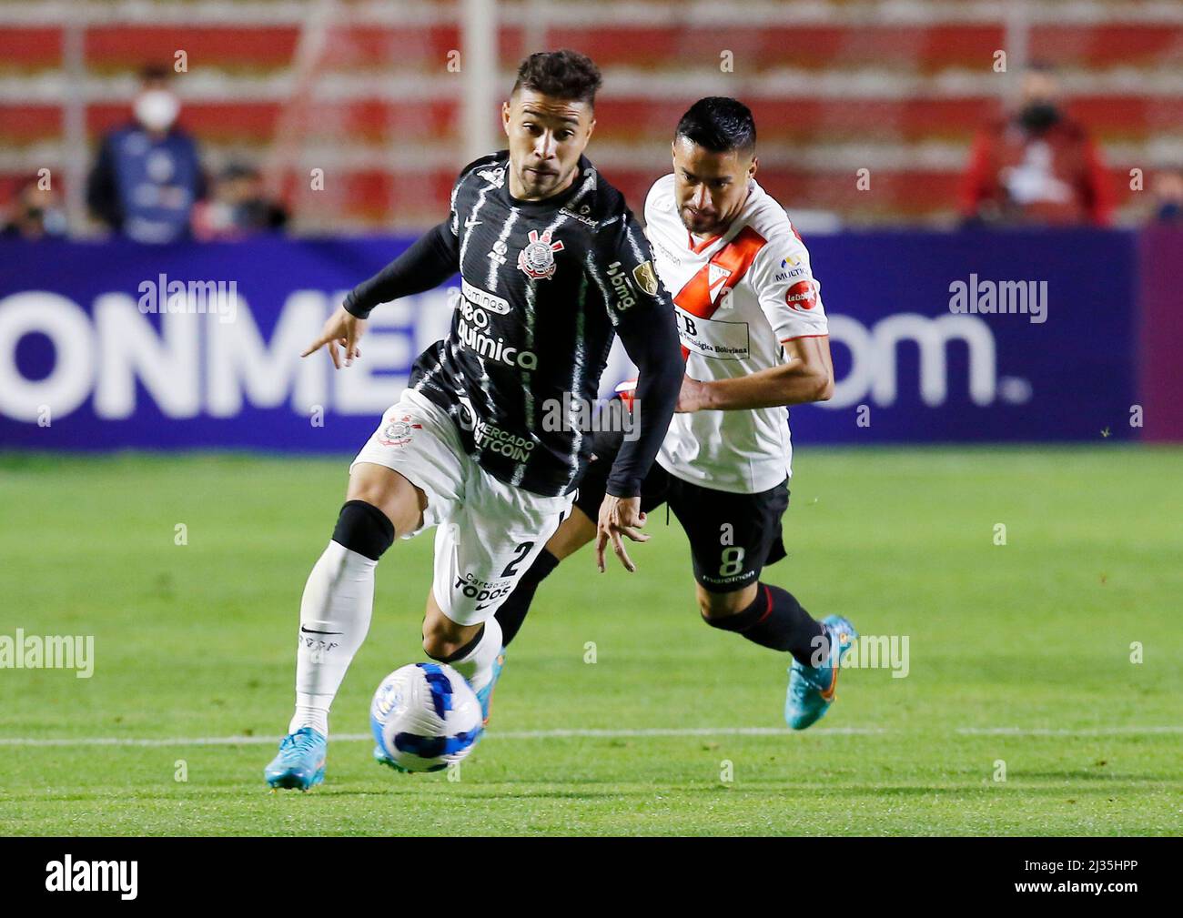 Ramallo rodrigo hi-res stock photography and images - Alamy