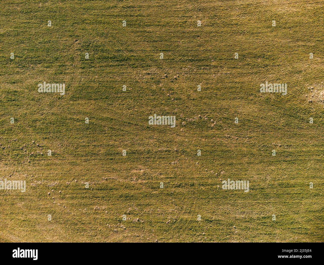 An aerial view of grassy field Stock Photo - Alamy