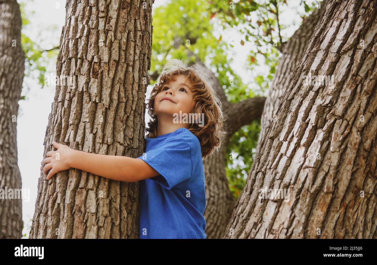 Young boy hugging a tree branch. Little boy kid on a tree branch. Child ...
