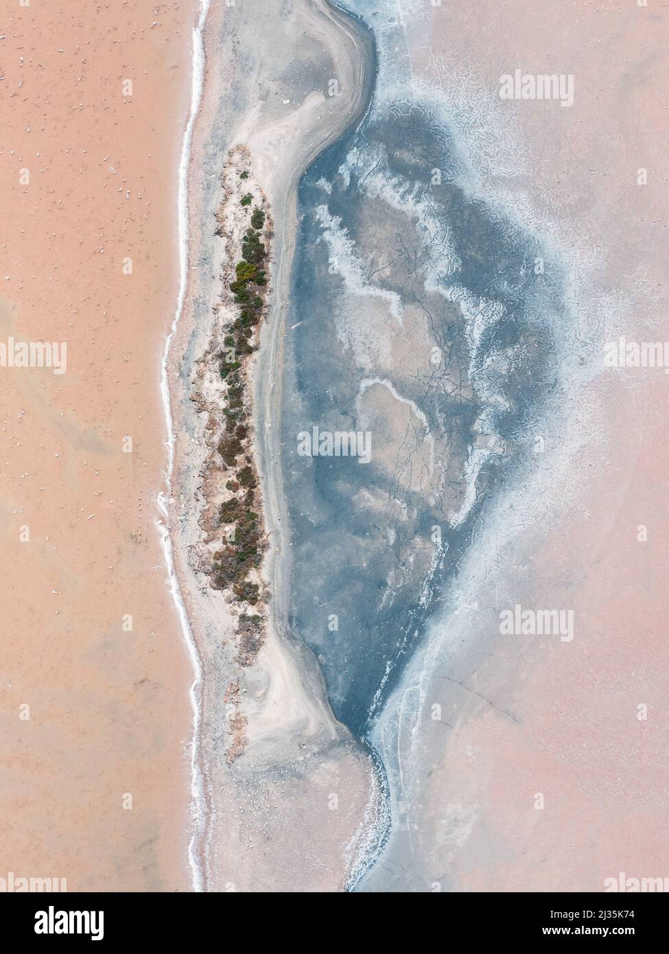 Letter D Images In Nature