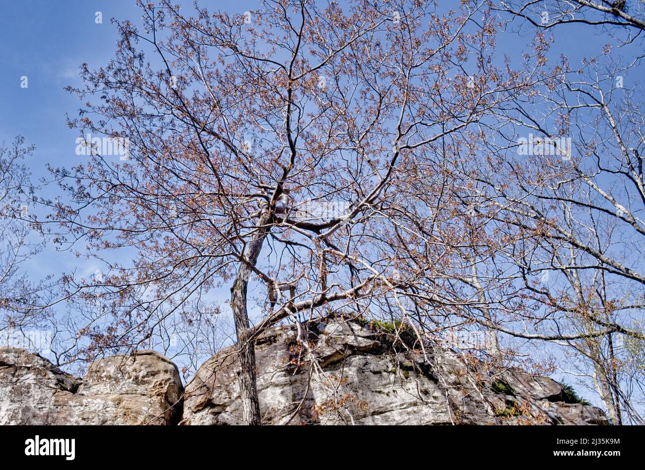 Boulders at Moss Rock Preserve in Hoover, Alabama, USA Stock Photo - Alamy