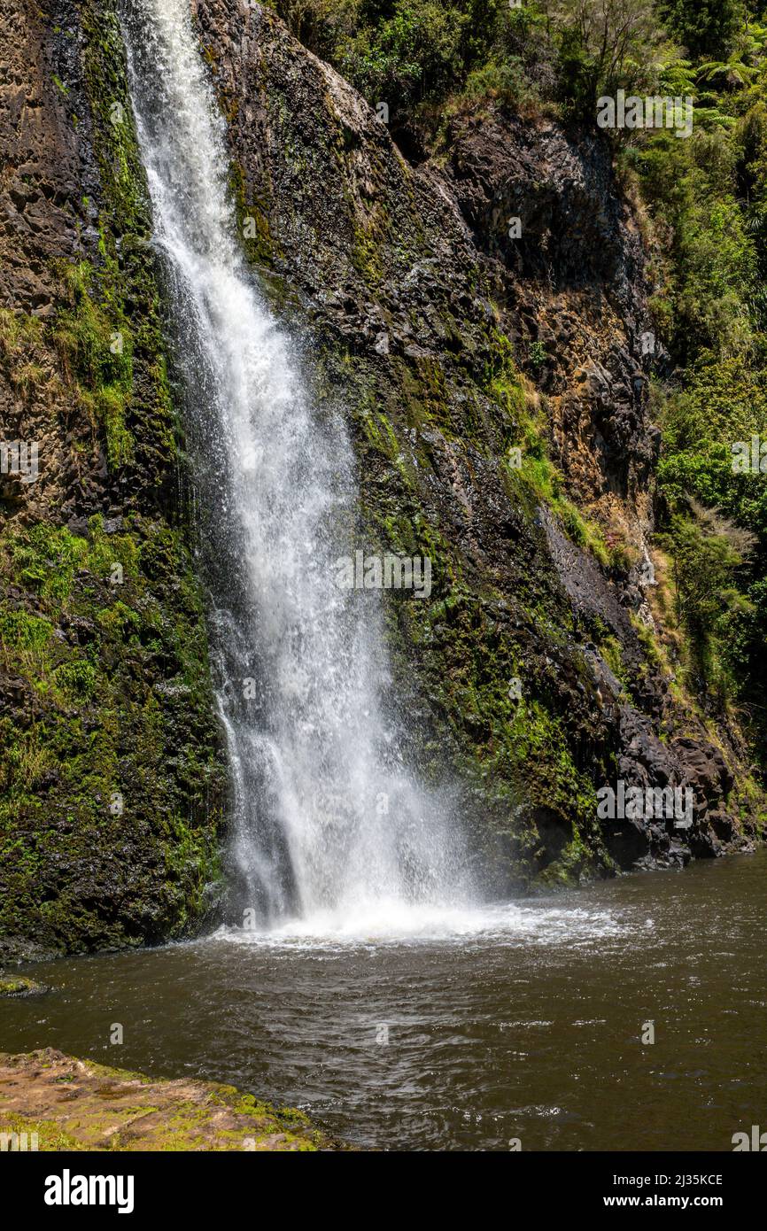The Hunua Falls are on the Wairoa River in the Auckland Region of New ...