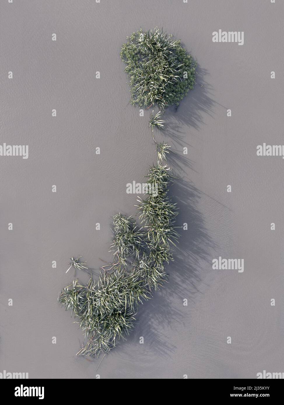 Shape of new born baby. Symbol Stock Photo - Alamy