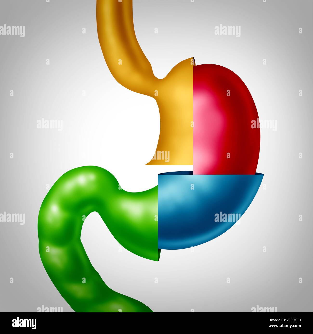 Anorexia nervosa hi-res stock photography and images - Alamy