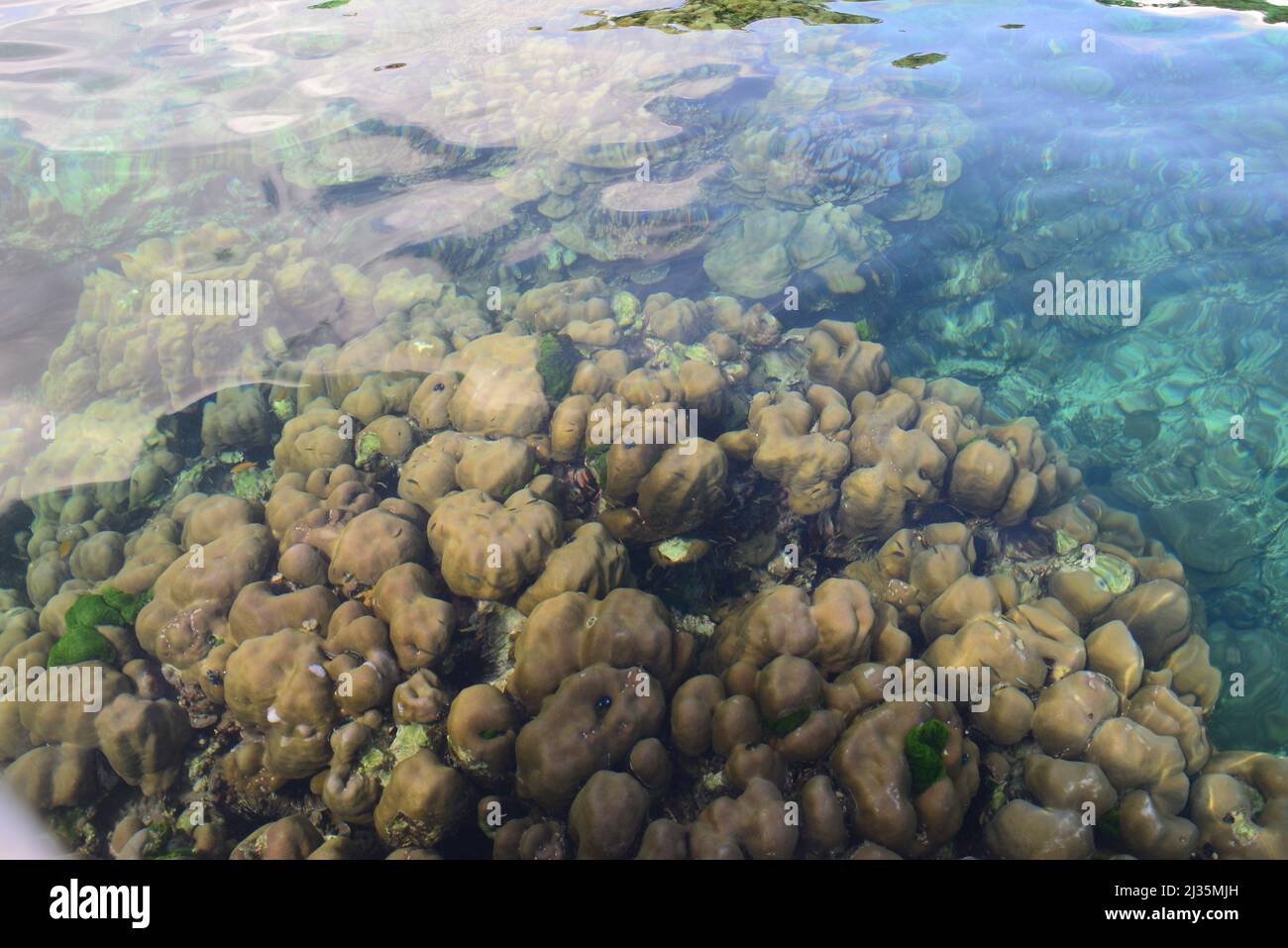 Koh Rok (Rok Island) is a small archipelago in southern Thailand in the ...