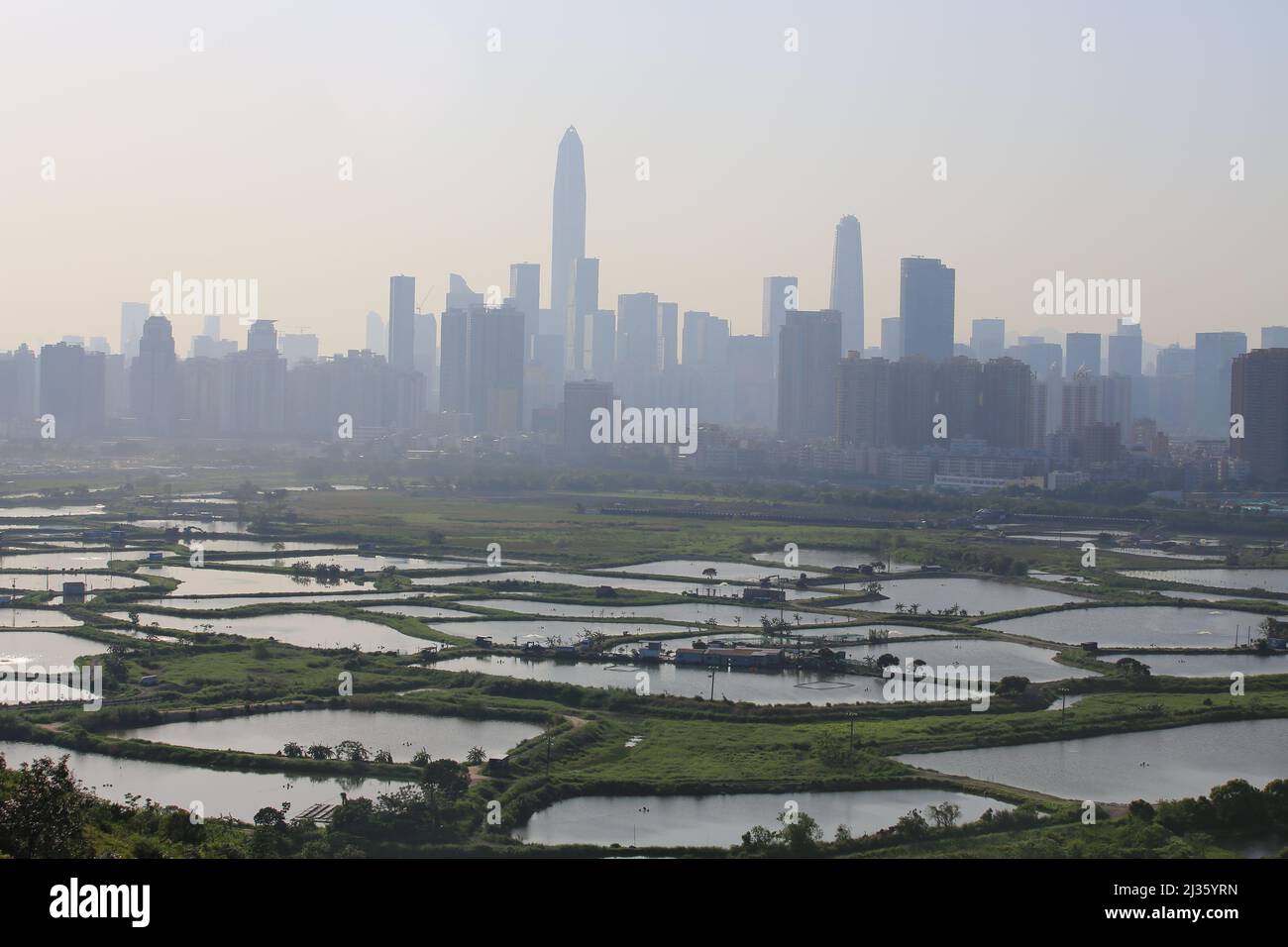 Shenzhen skyline view from the boundary of Hong Kong Ma Tso Lung area ...