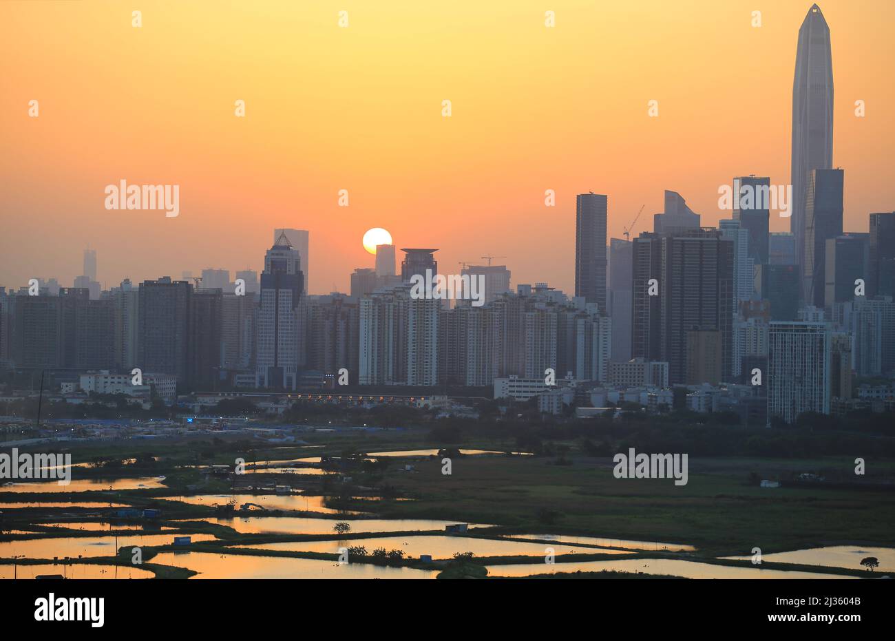 Shenzhen skyline , with skyscrapers and office against fish farm or ...