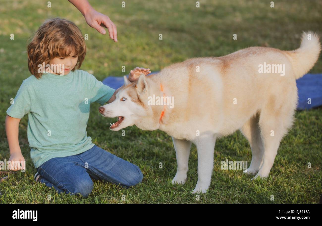 Boy child walk with doggy. Son playing with dog in garden Stock Photo ...