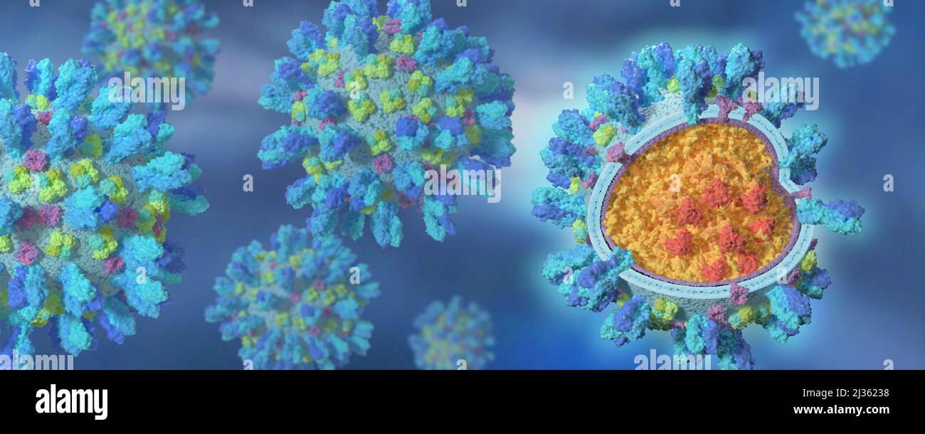 Influenza virus, illustration Stock Photo - Alamy