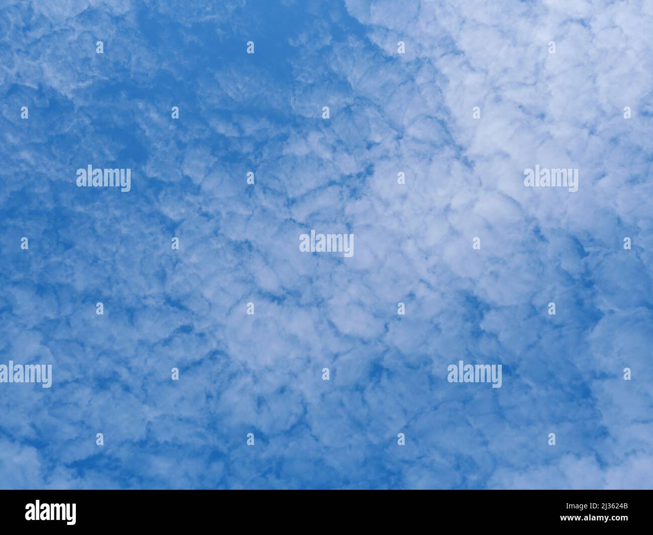 Altocumulus cloud on beautiful blue sky , Fluffy clouds formations at tropical zone Stock Photo ...