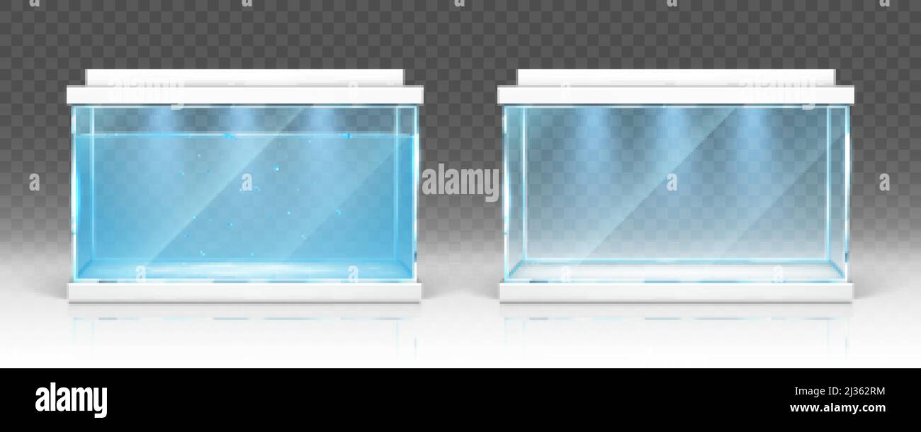 Glass aquarium with water and empty terrarium with white lids and ...