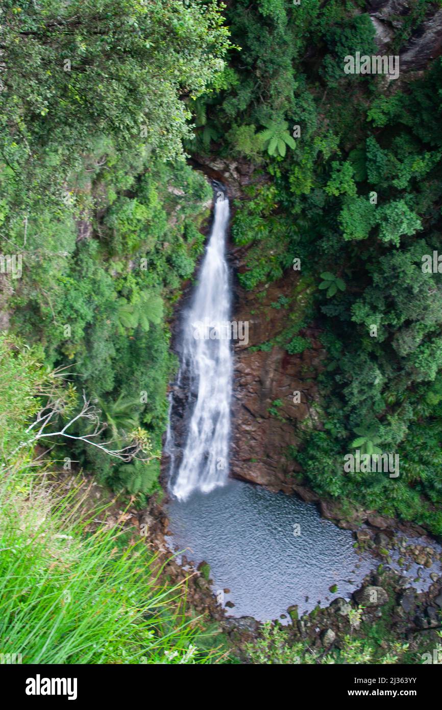 Coomera Falls, Coomera Falls Circuit Stock Photo - Alamy