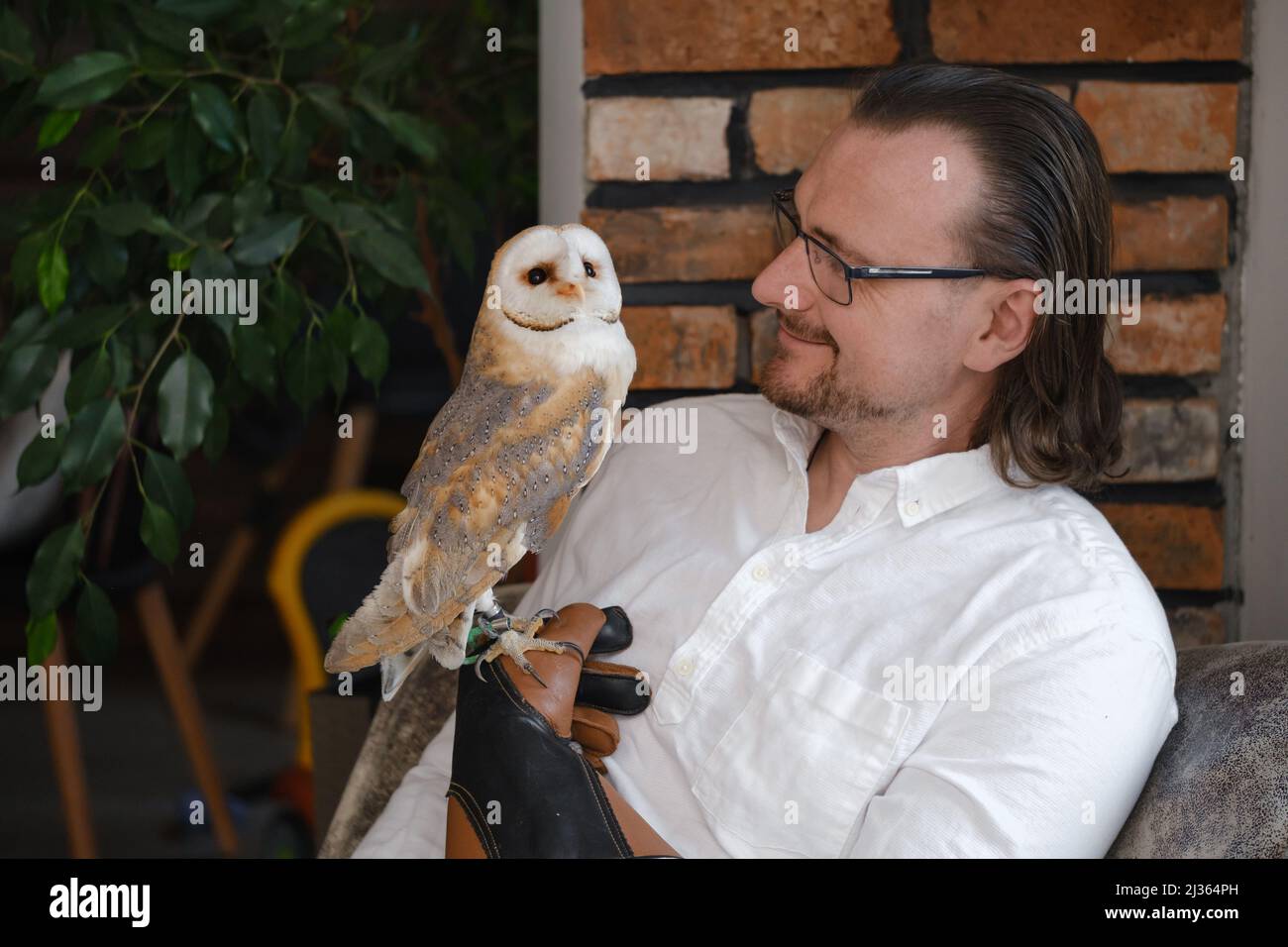 Man an owl hi-res stock photography and images - Alamy