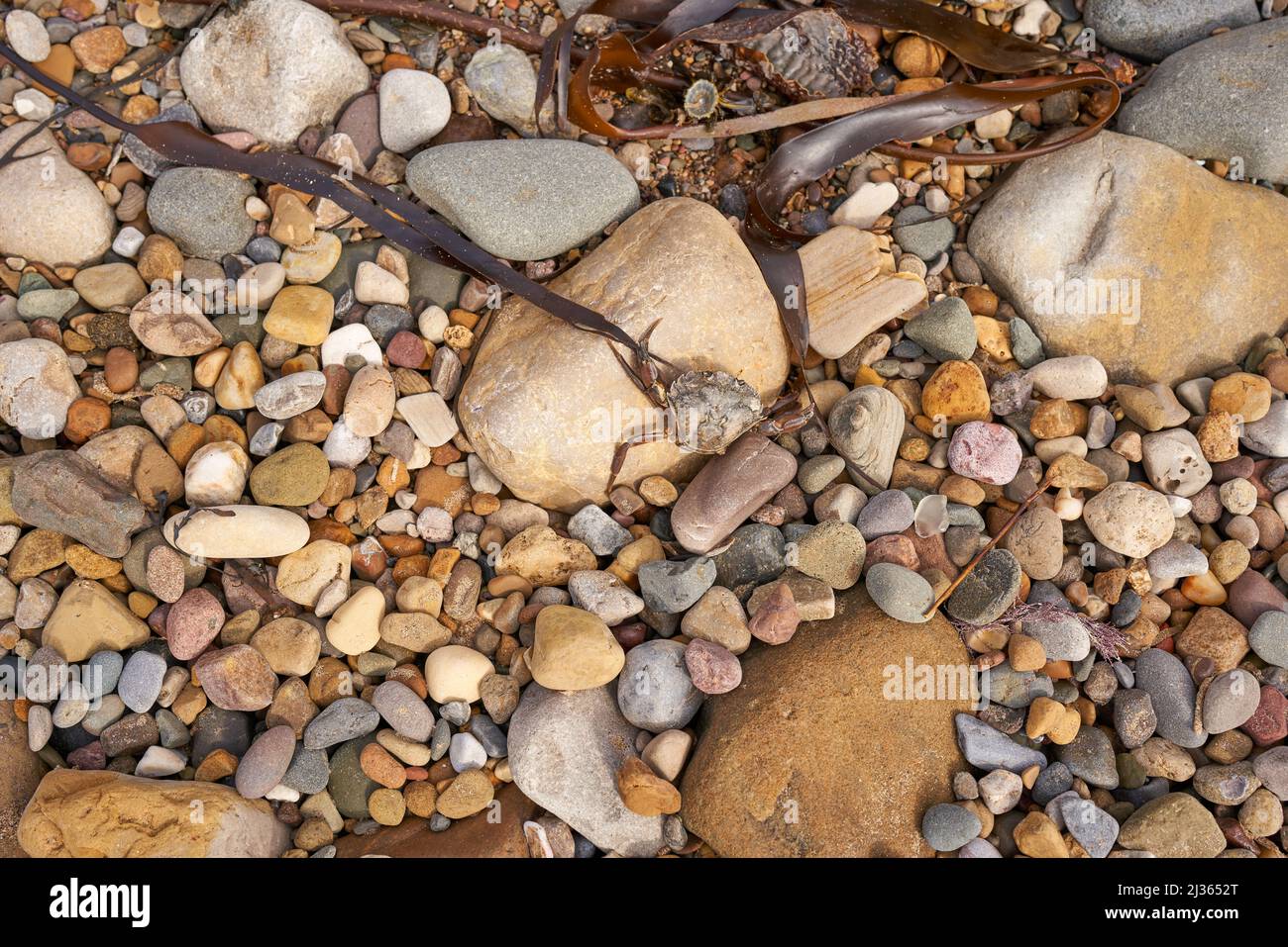 Perished on the beach hi-res stock photography and images - Alamy