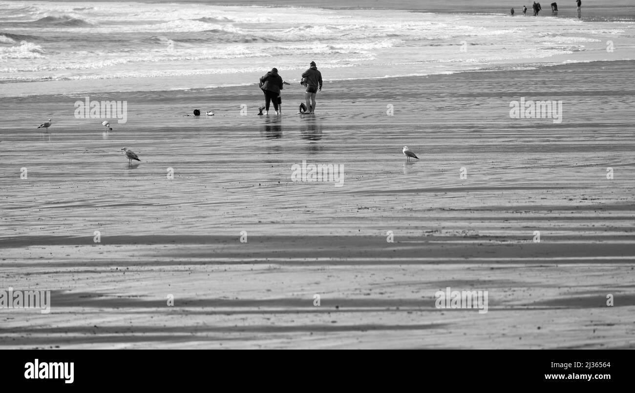 Two distant people with dog hi-res stock photography and images - Alamy