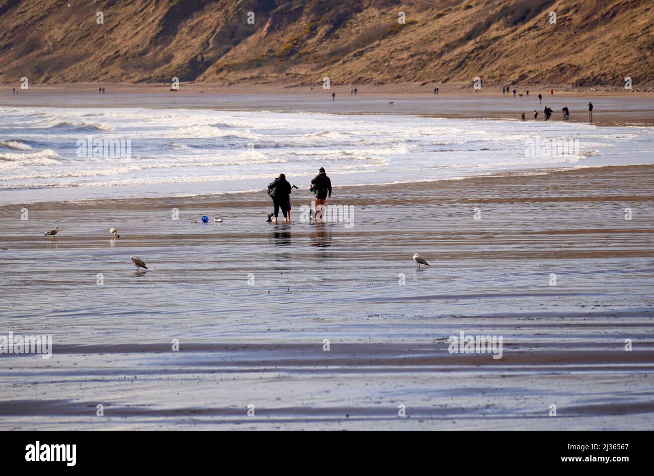 Two distant people with dog hi-res stock photography and images - Alamy