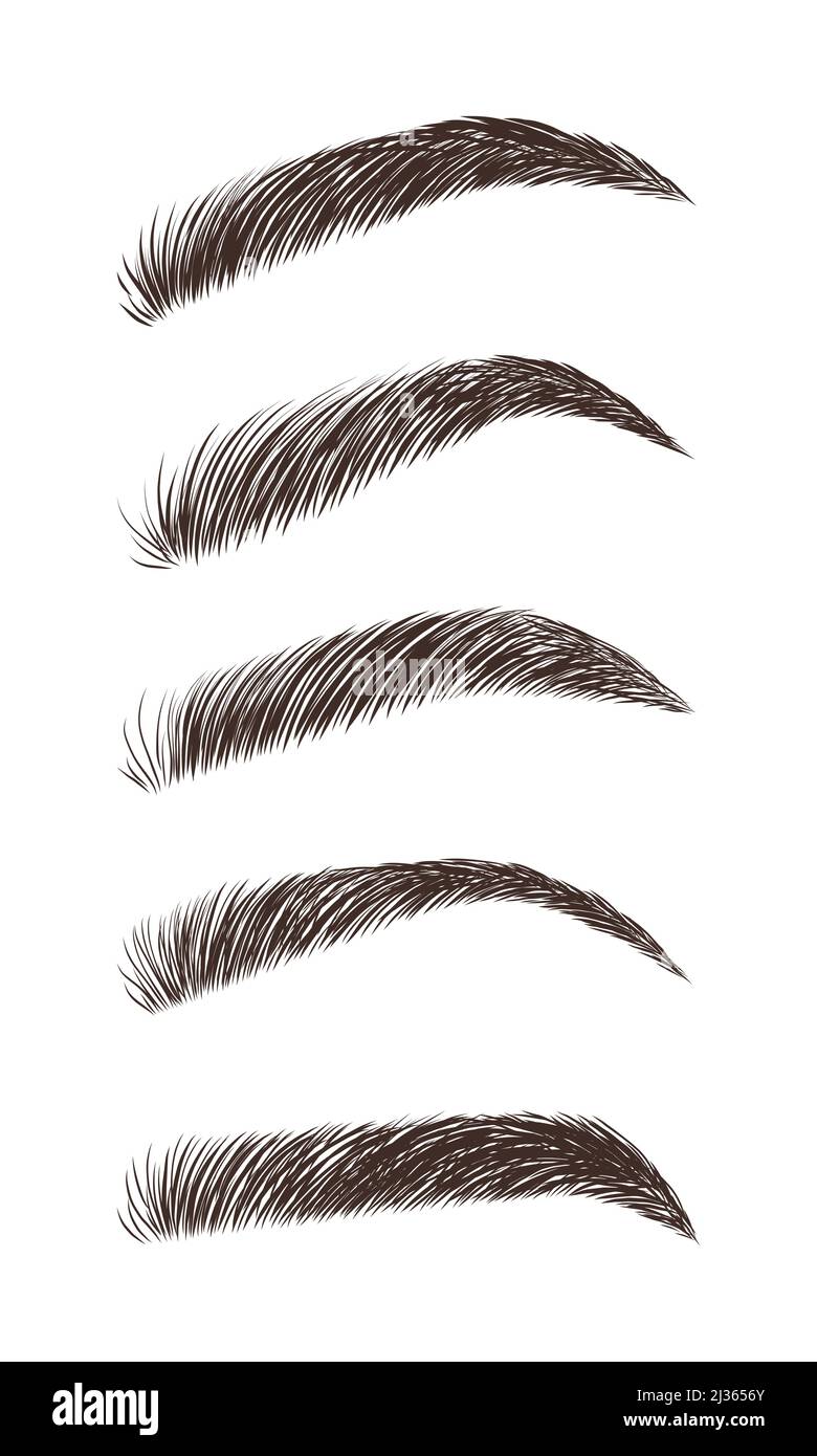 Eyebrow shapes illustration hi-res stock photography and images - Alamy