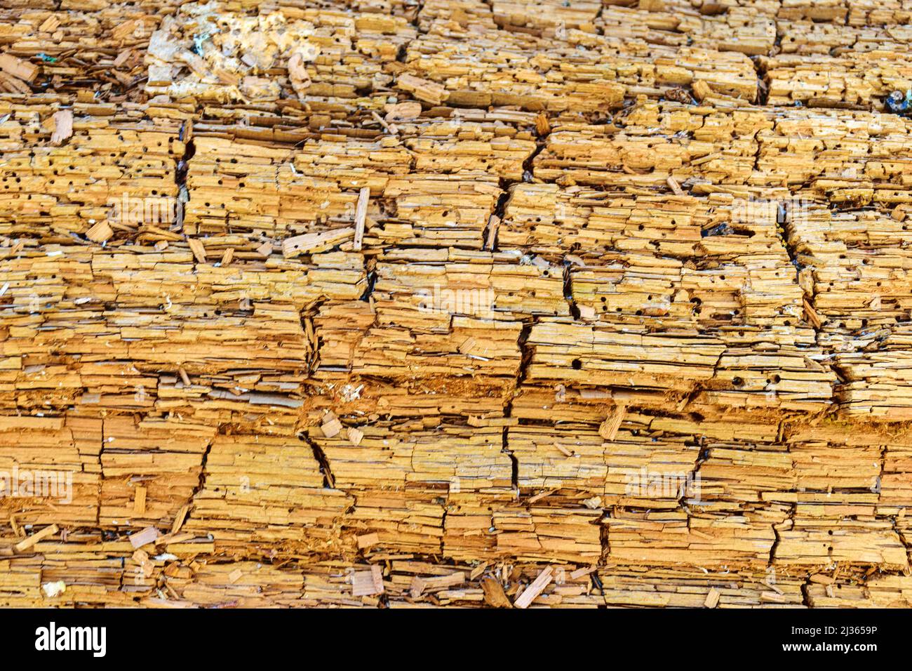 abstract close-up of rotten old wood, wood texture, suitable for ...