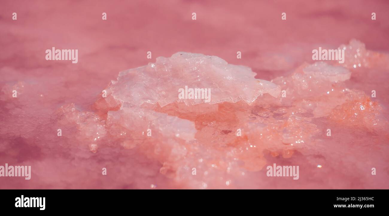 Pink salt cristales. Natural pink salt lake texture. Salt mining ...