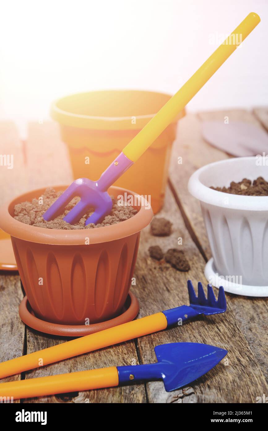 Flower pots and set decorative garden tools on a wooden background in ...
