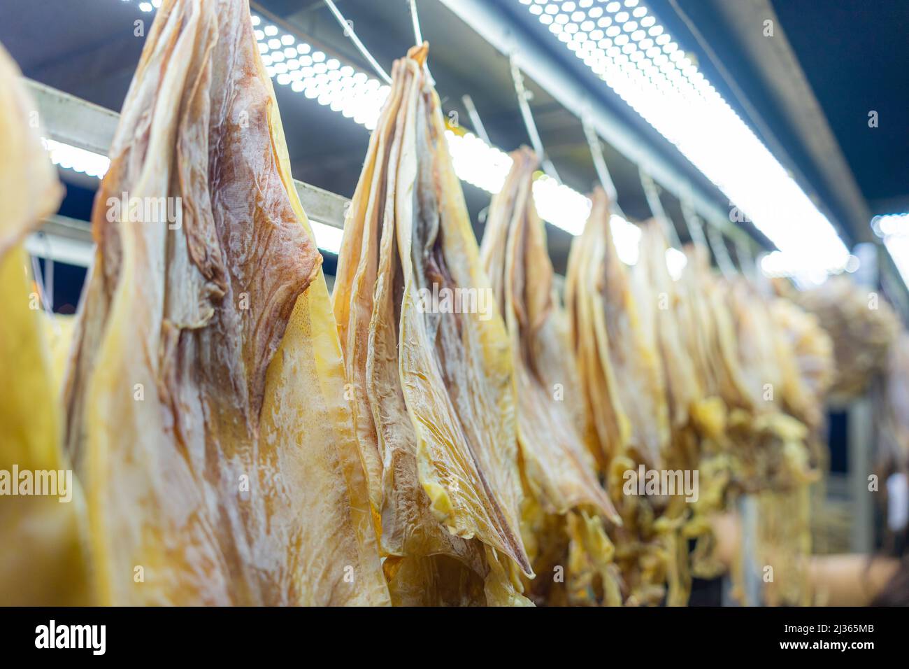 Traditional walking business selling dry squid on the street at night ...