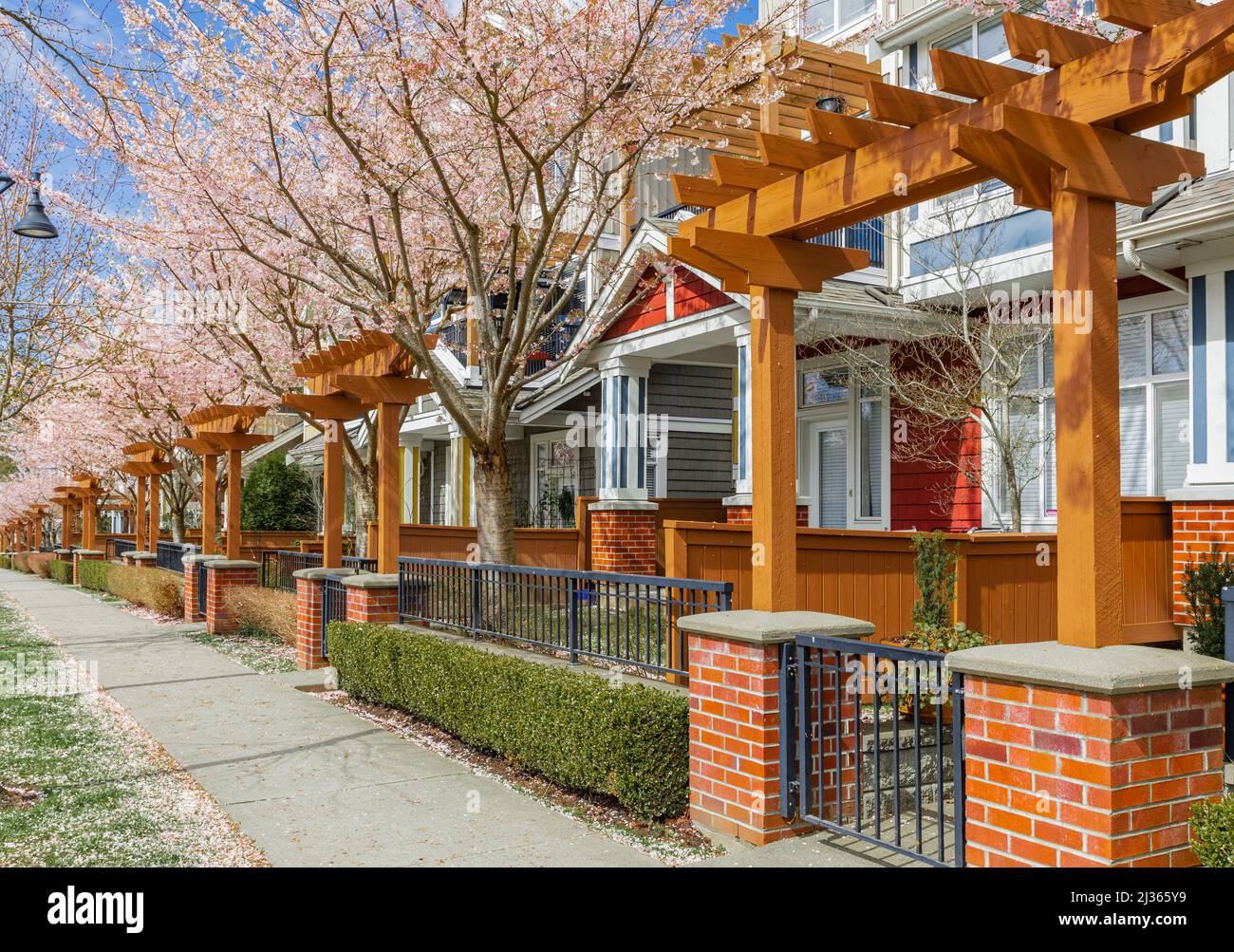 Neighborhood modern houses with spring flowers in BC, Canada. Canadian ...