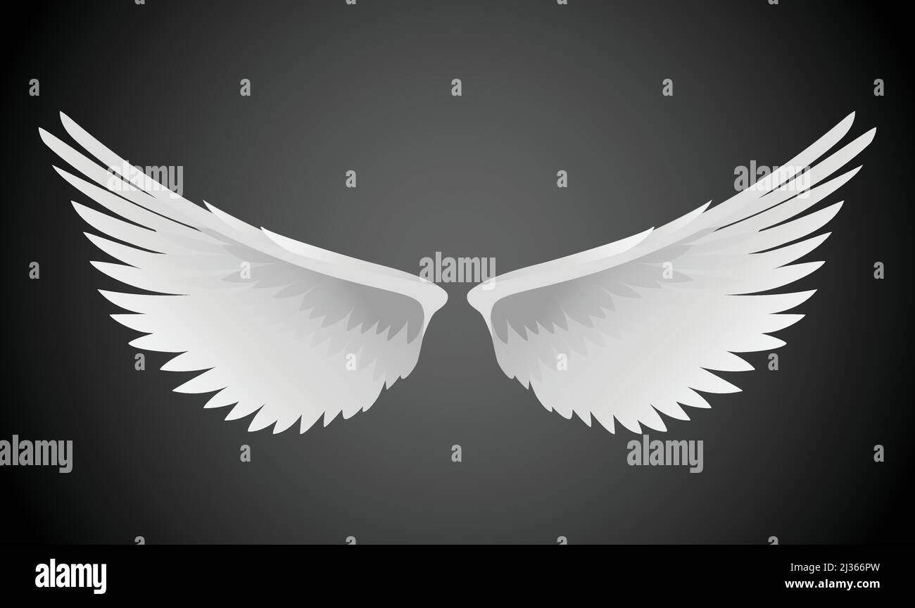 Vector illustration of white wings Stock Vector Image & Art - Alamy