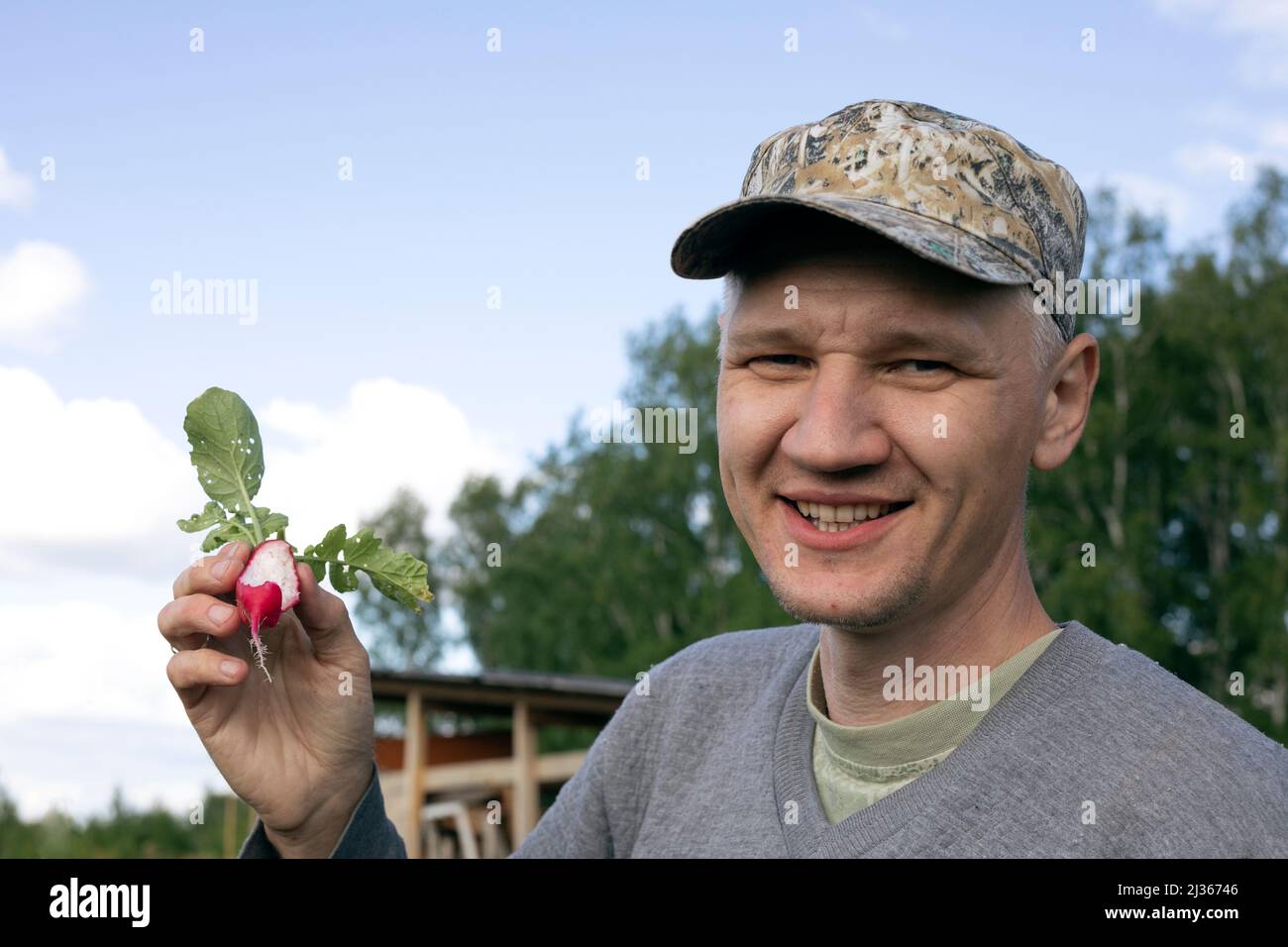 Man holding bited radish on natural garden background. Healthy farmer ...