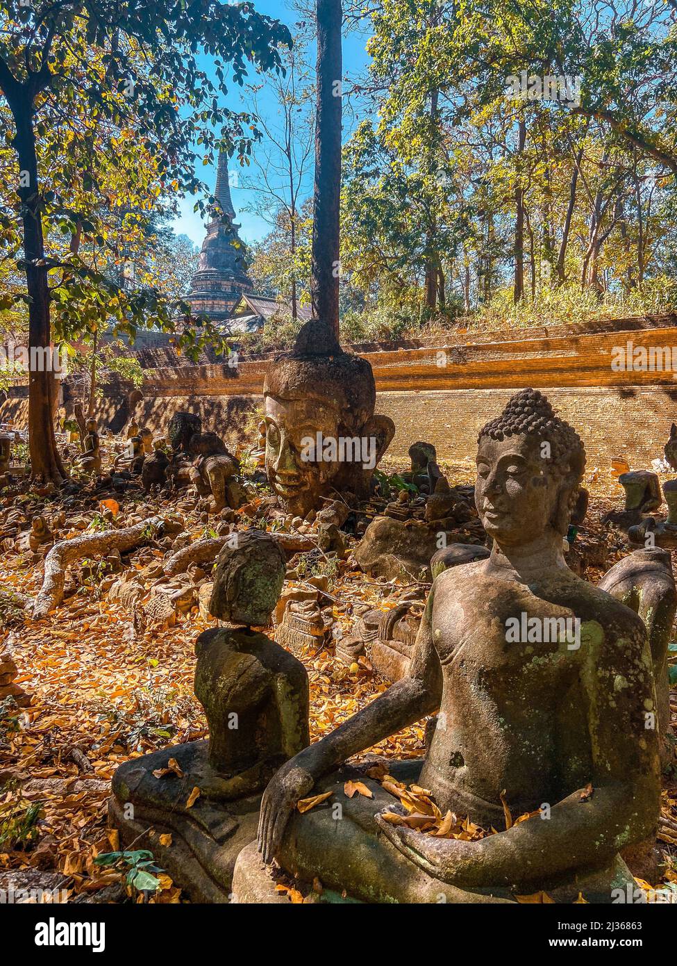 Wat umong park hi-res stock photography and images - Alamy