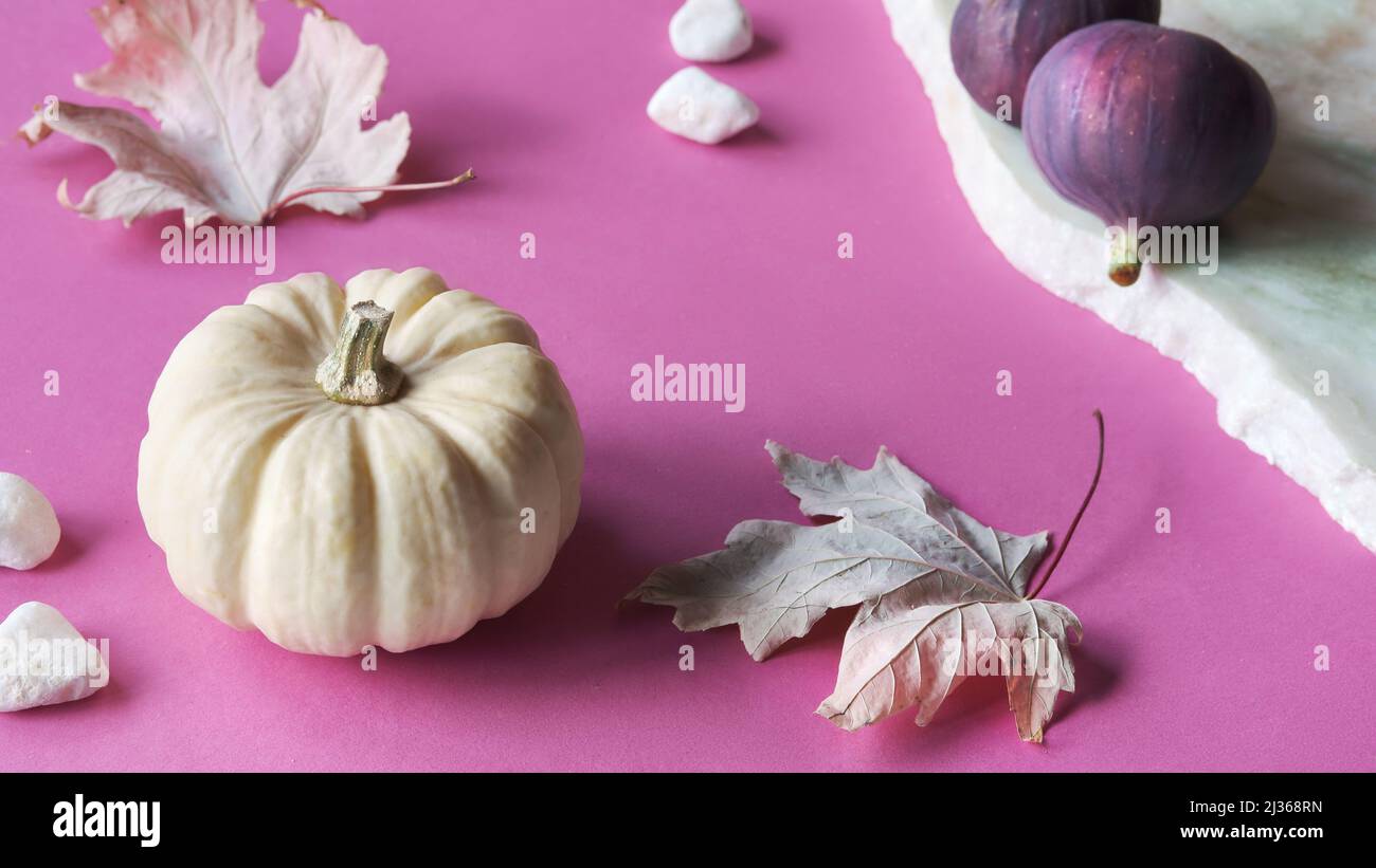 Autumn colors. Purple and magenta fig fruits on vibrant fuchsia and ...