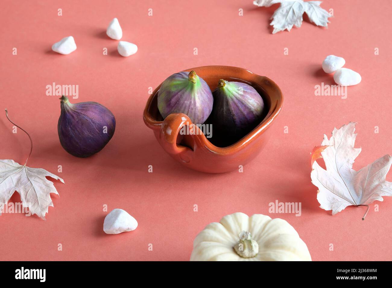 Bold pink color hi-res stock photography and images - Alamy