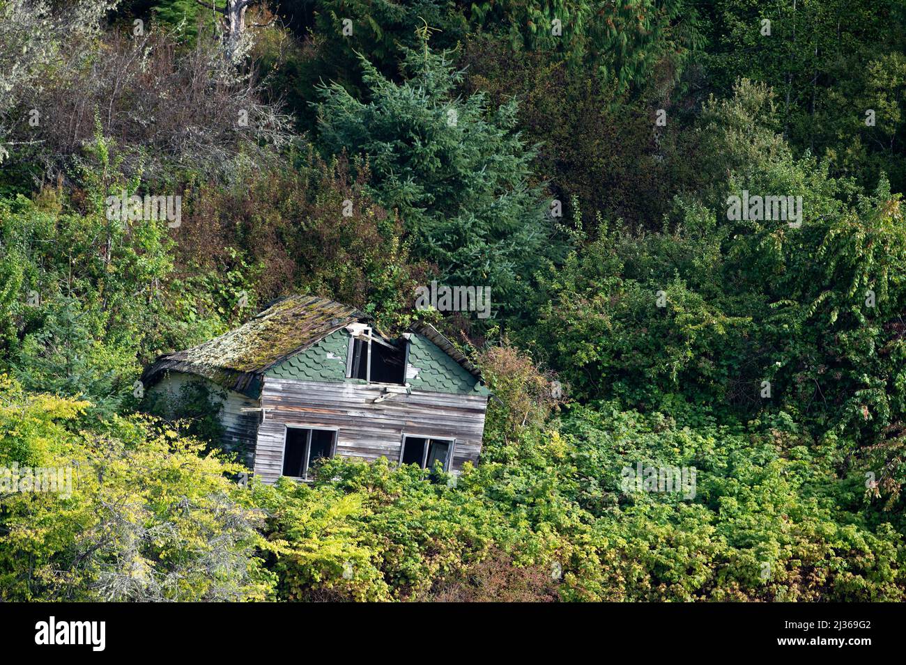 Echo bay british columbia canada hi-res stock photography and images ...