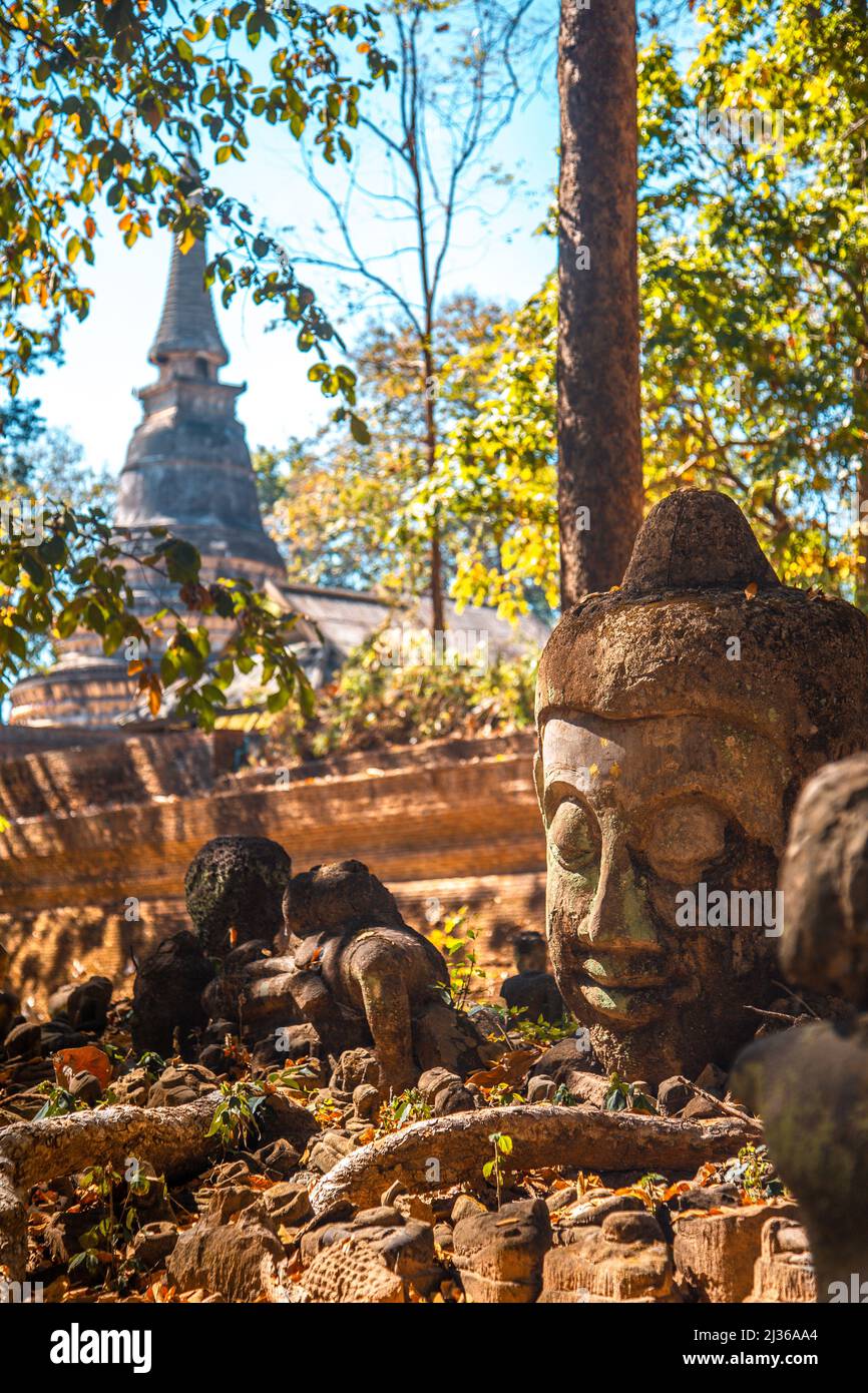 Wat umong park hi-res stock photography and images - Alamy