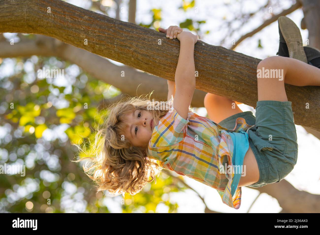 Child on a tree branch. Child climbing in adventure activity park ...