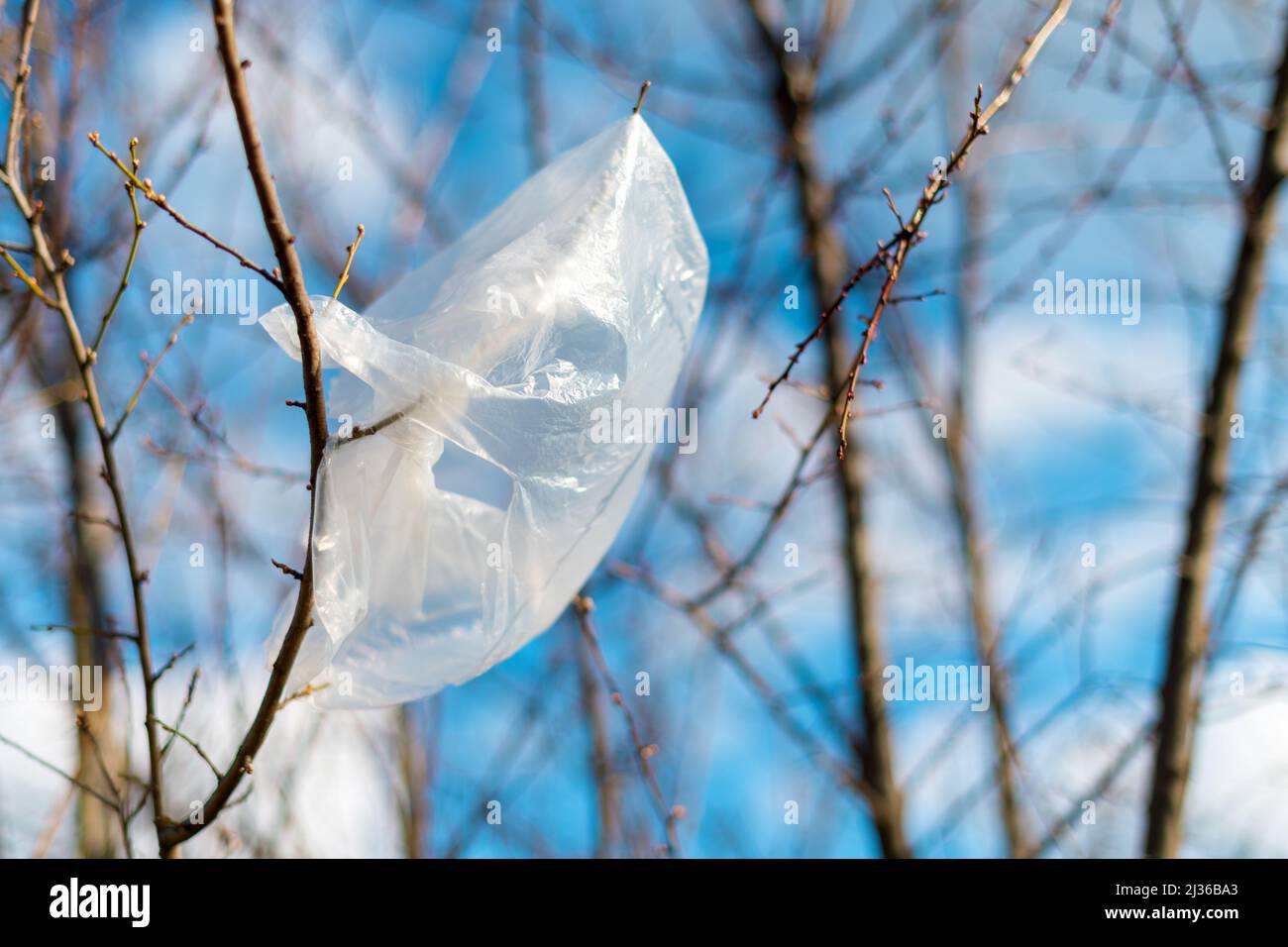 Plastic pollution tree hi-res stock photography and images - Alamy