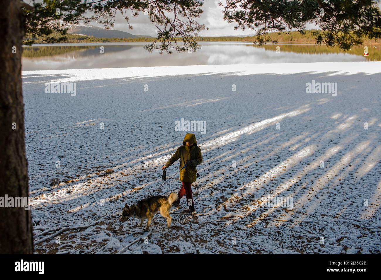 Loch Morlich beach in the Scottish highlands is snowfell after Scotland ...