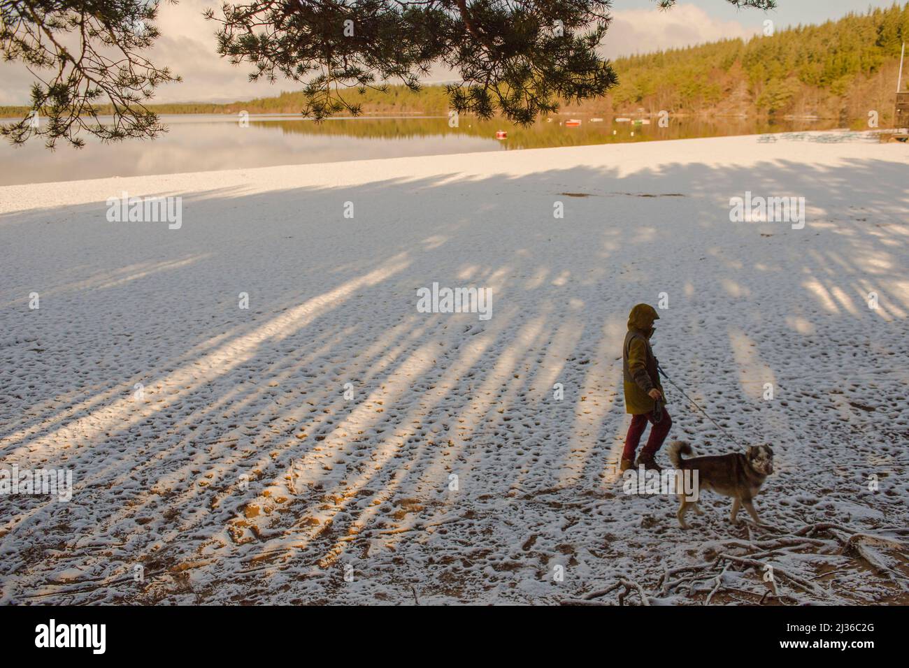 Loch Morlich beach in the Scottish highlands is snowfell after Scotland ...