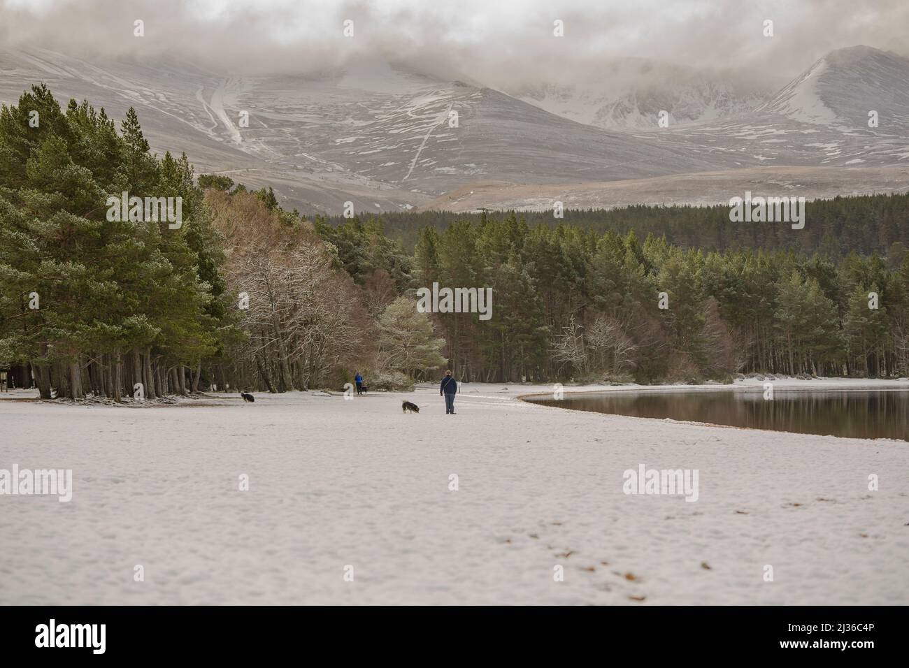 Loch Morlich beach in the Scottish highlands is snowfell after Scotland ...
