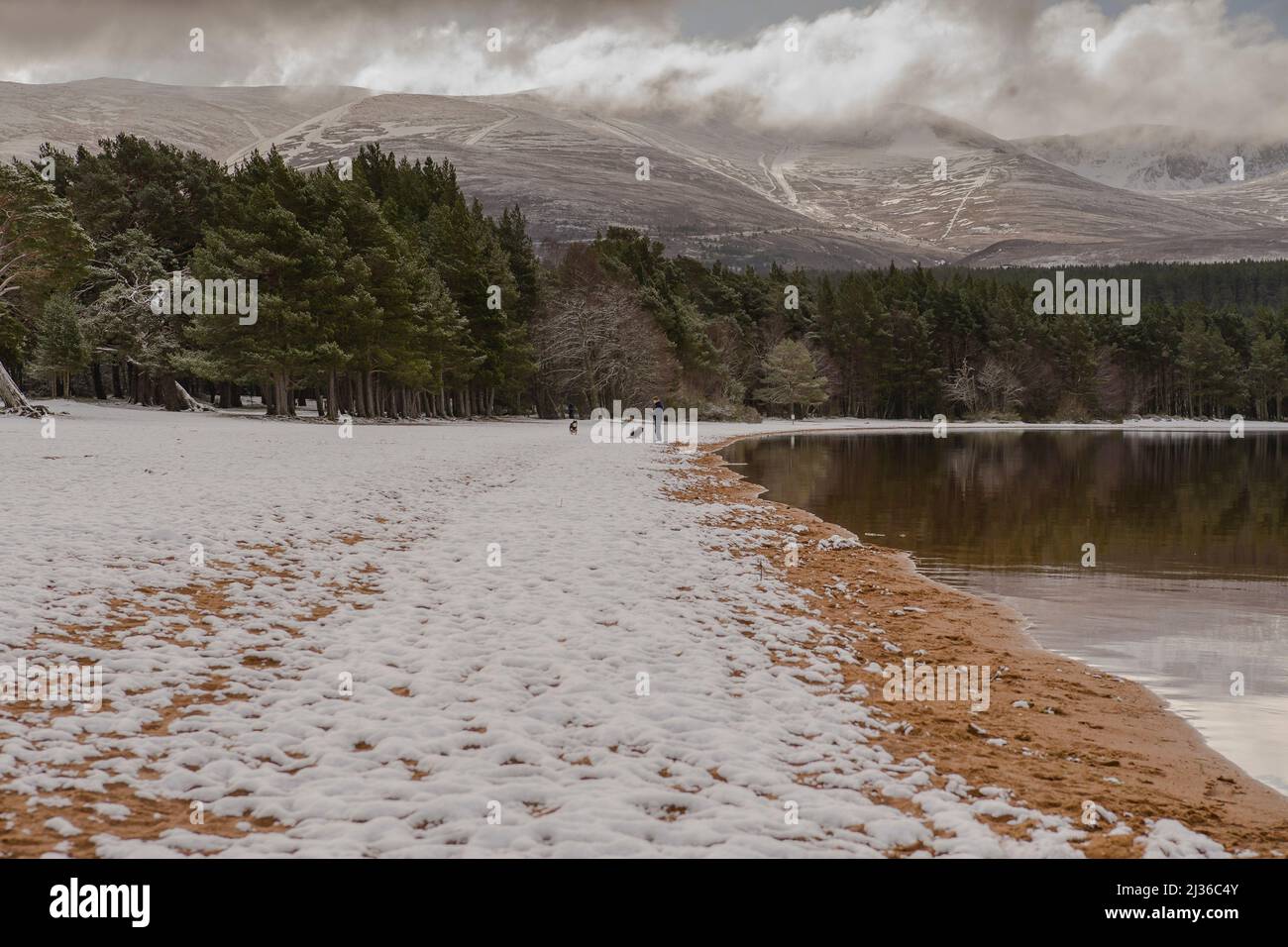 Loch Morlich beach in the Scottish highlands is snowfell after Scotland ...