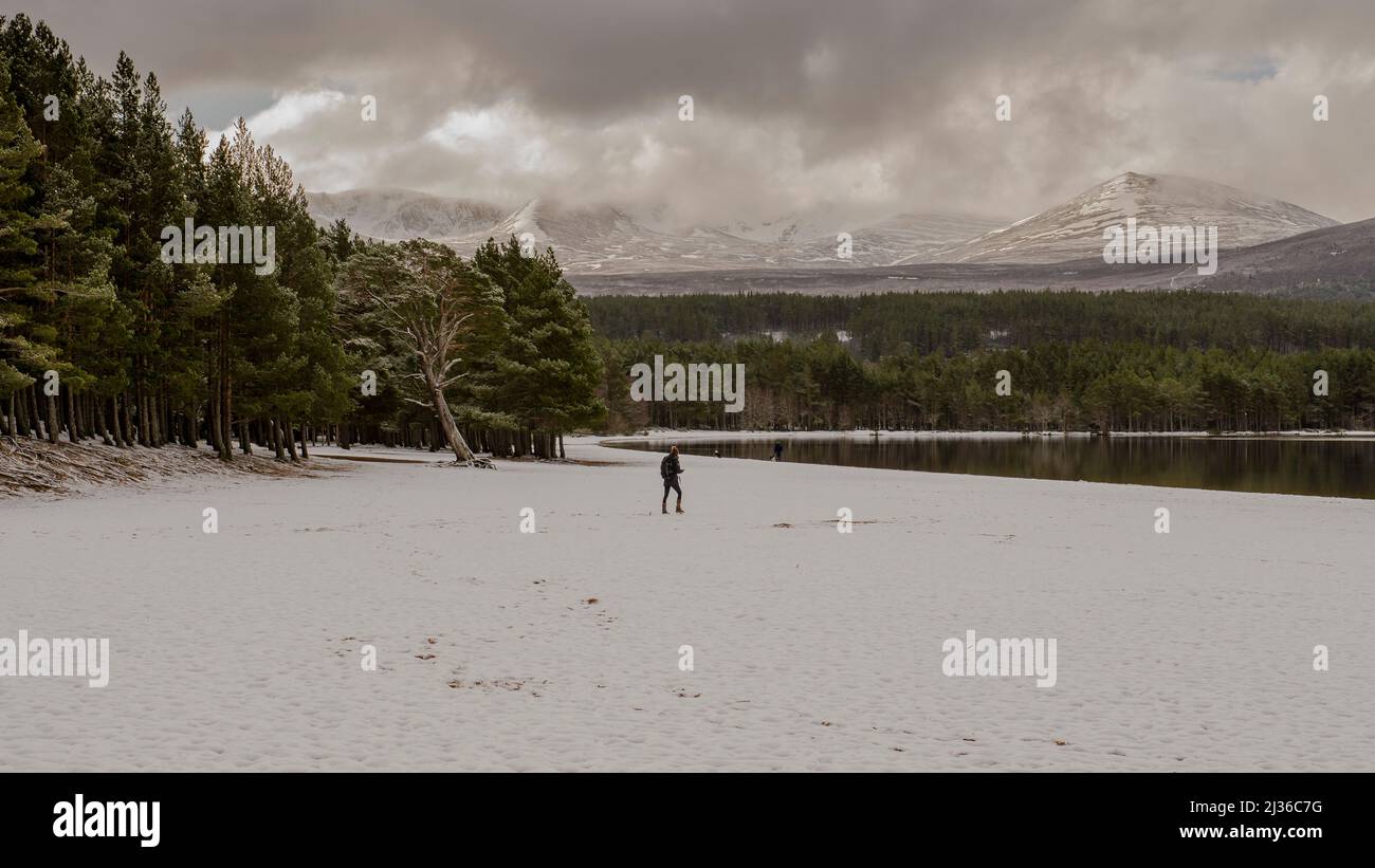 Loch Morlich beach in the Scottish highlands is snowfell after Scotland ...
