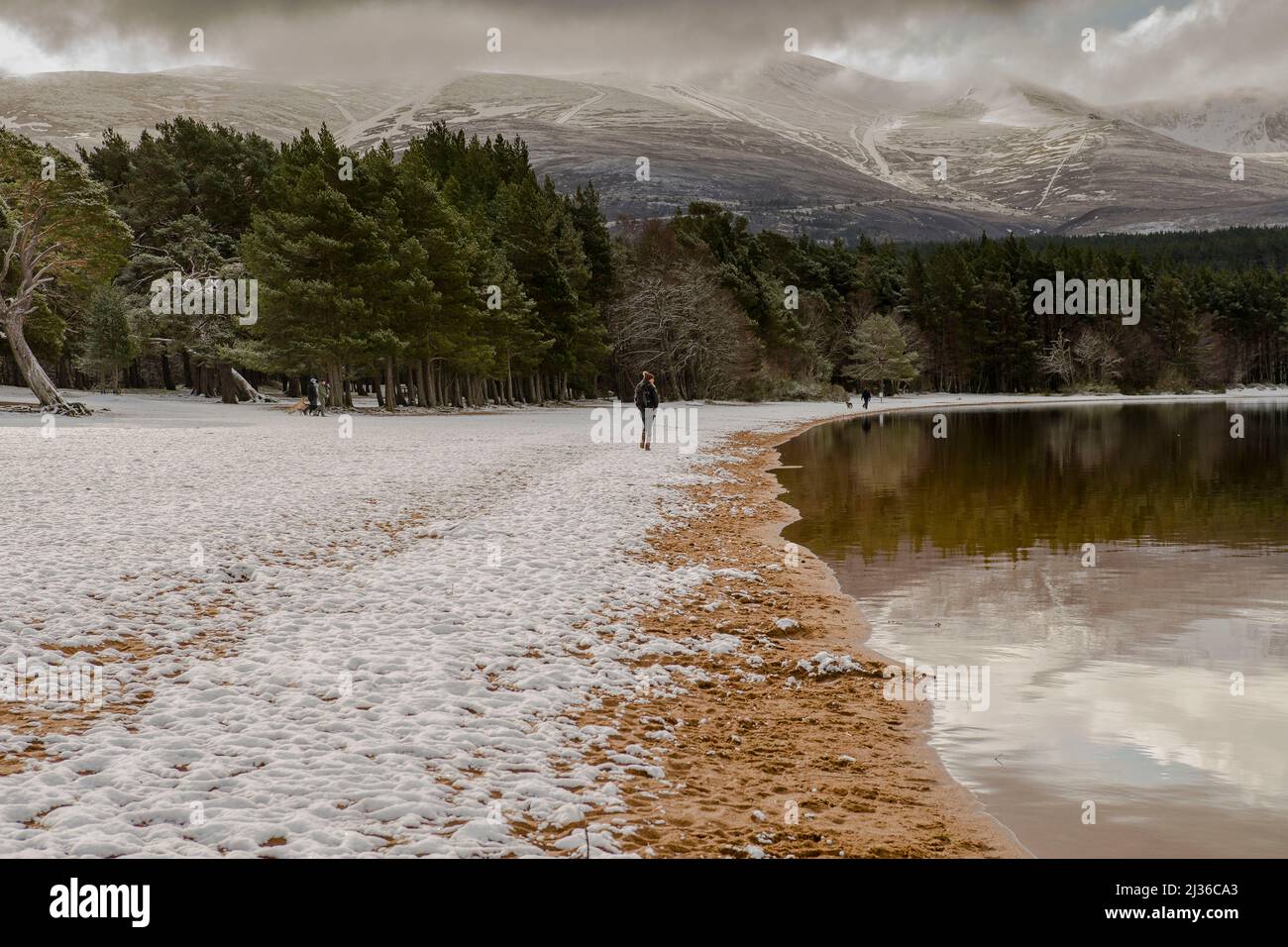 Loch Morlich beach in the Scottish highlands is snowfell after Scotland ...
