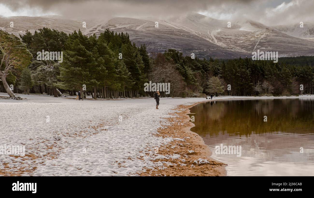 Loch Morlich beach in the Scottish highlands is snowfell after Scotland ...
