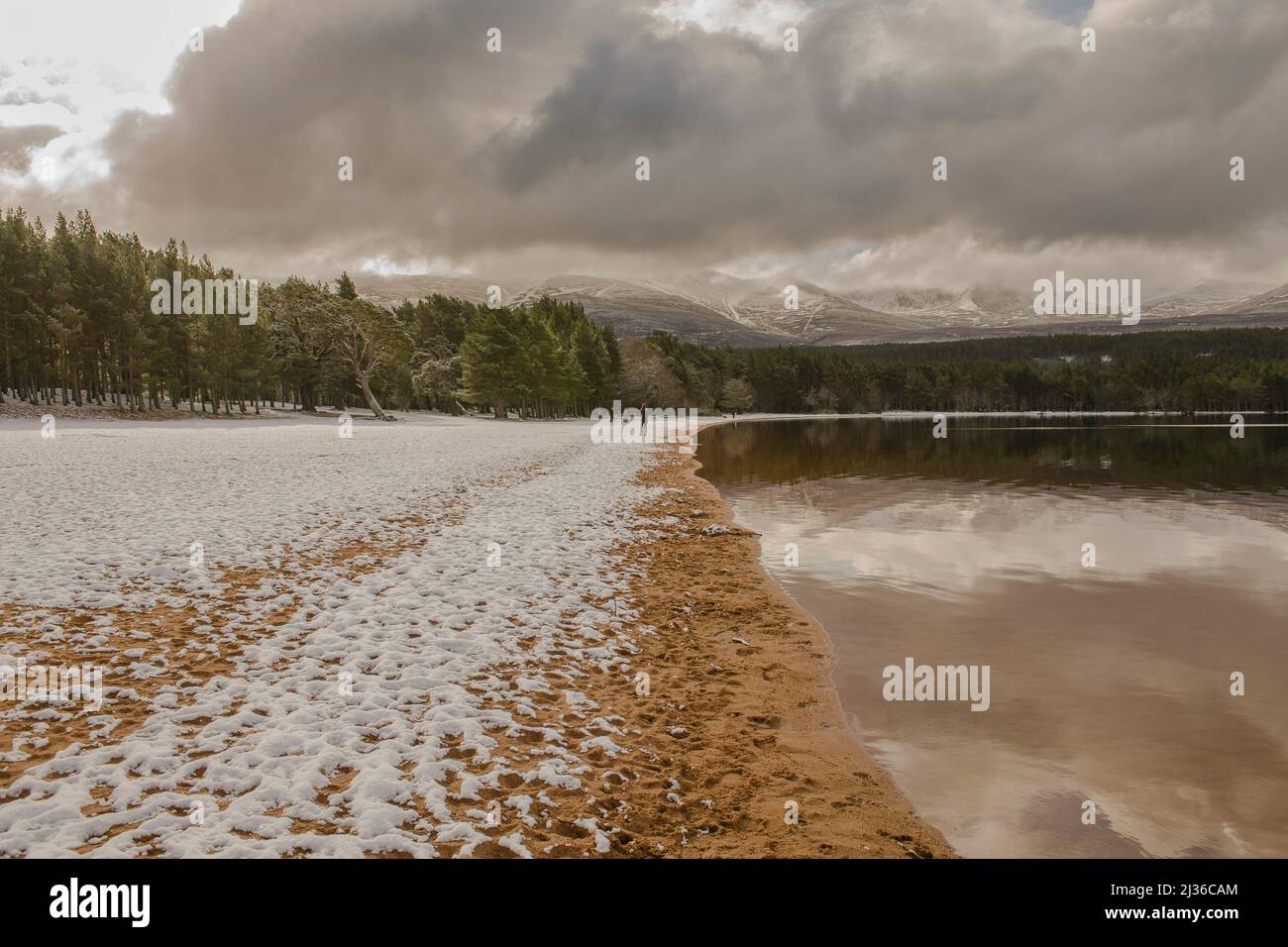 Loch Morlich beach in the Scottish highlands is snowfell after Scotland ...