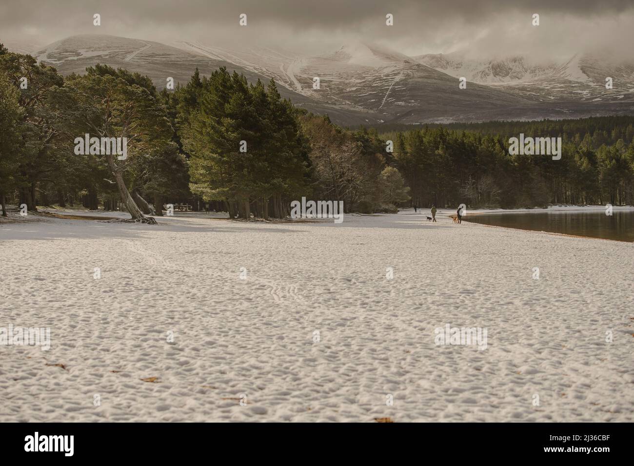 Loch Morlich beach in the Scottish highlands is snowfell after Scotland ...